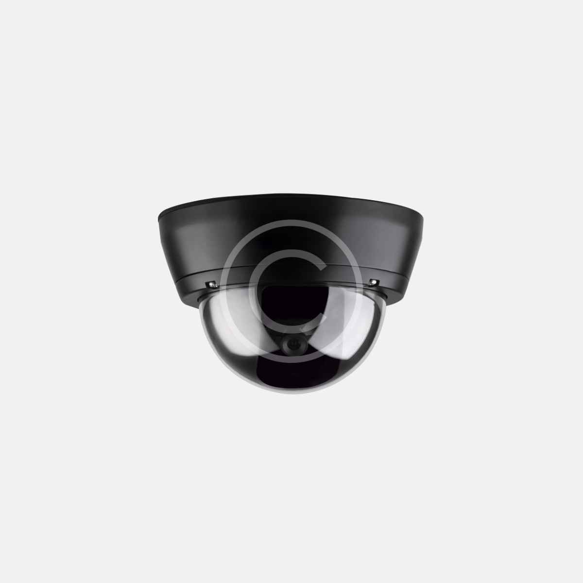 Mini Security Camera – Fuerza Verde